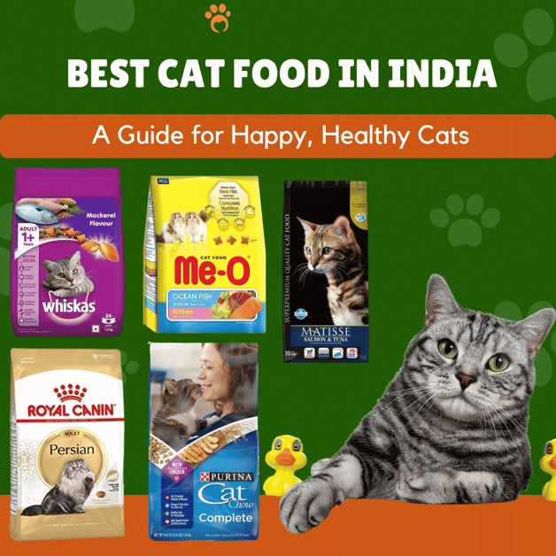 Best Cat Food in India for Kittens and Adult Cats | DesiDime
