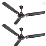 Candes Star 3 Star 1200 mm Ultra High Speed 3 Blade Ceiling Fan (Coffee ...